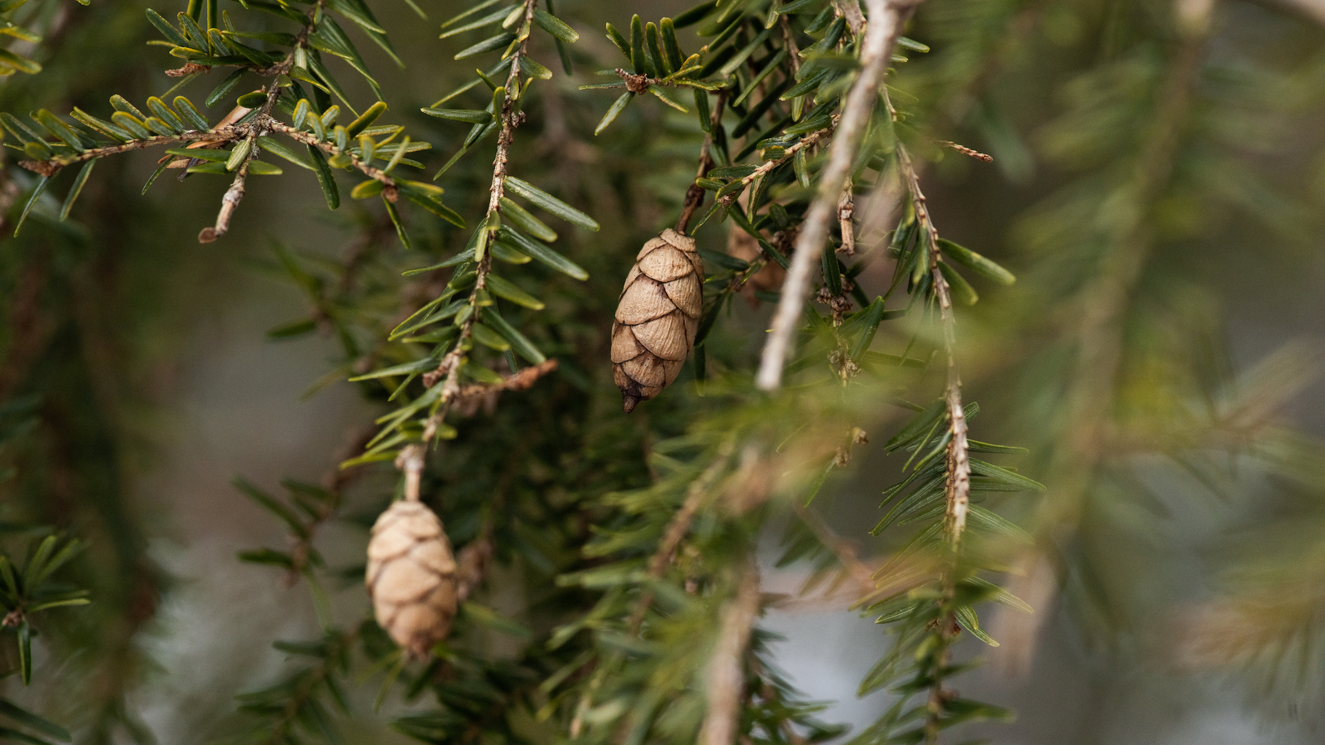 Réserve Naturelle Gault