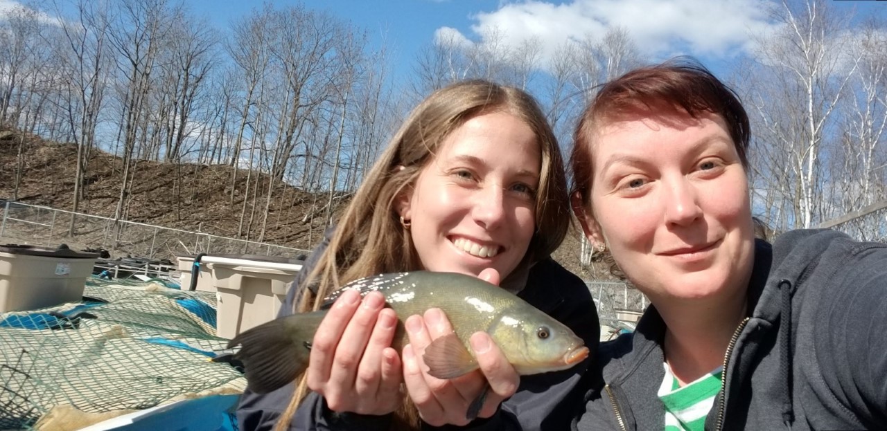 Invasive Species: A Study of Tench and Their Invasion Potential - Gault ...